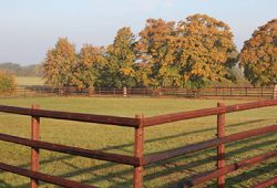 Octopost Fencing - The Log Shed