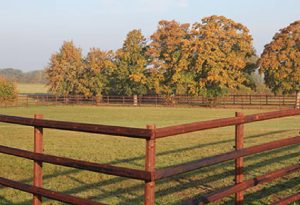 Octopost Fencing - The Log Shed