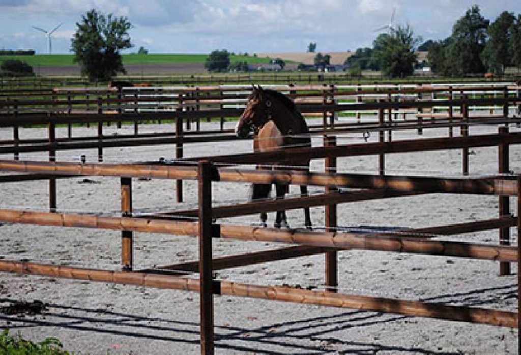 Octopost Fencing - The Log Shed