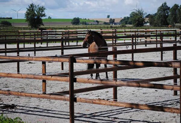 Octopost Fencing - The Log Shed